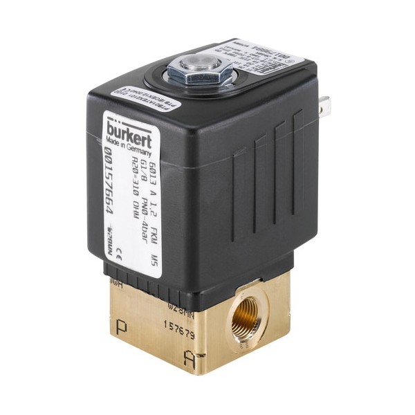 Bürkert Type 6013 - Plunger valve 2/2-way direct-acting (209271)